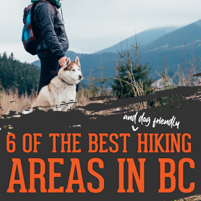 6 Of The Best Hiking Areas In BC – Backroad Maps