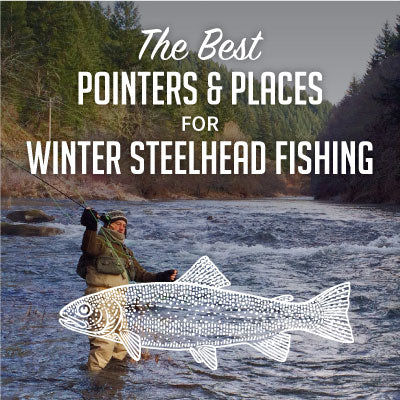 Top Five Rivers for Winter Steelhead Fishing in BC – Backroad Maps