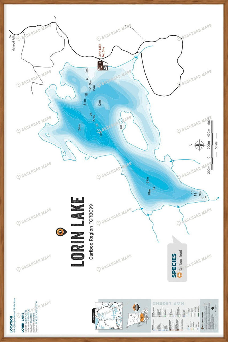 FCRBC99 Lorin (Airplane) Lake - Wall Map – Backroad Maps