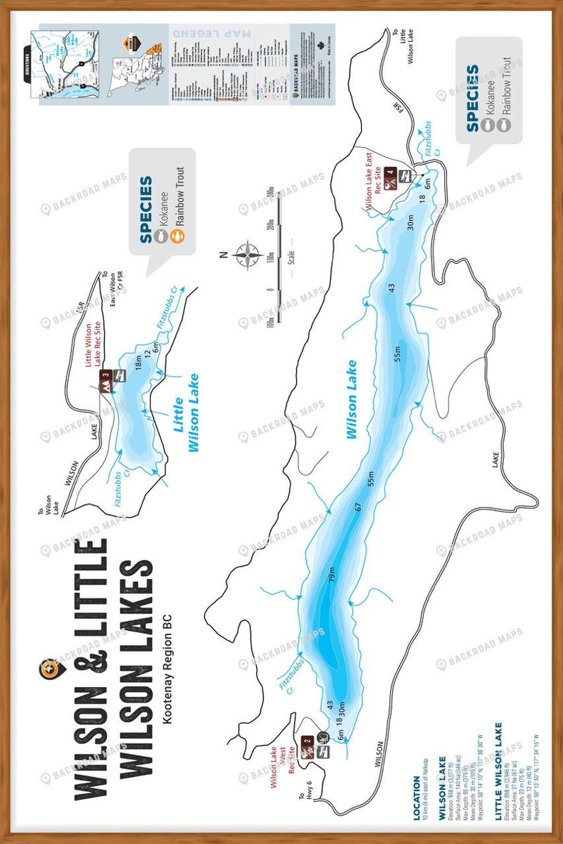 FKRBC119 Wilson & Little Wilson Lakes - Wall Map – Backroad Maps
