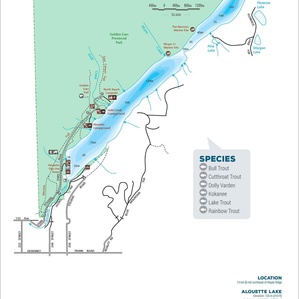 FLMBC22 Alouette Lake – Backroad Maps