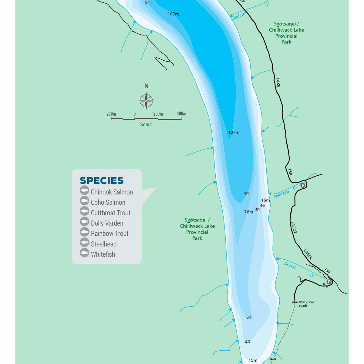 FLMBC38 Chilliwack Lake – Backroad Maps