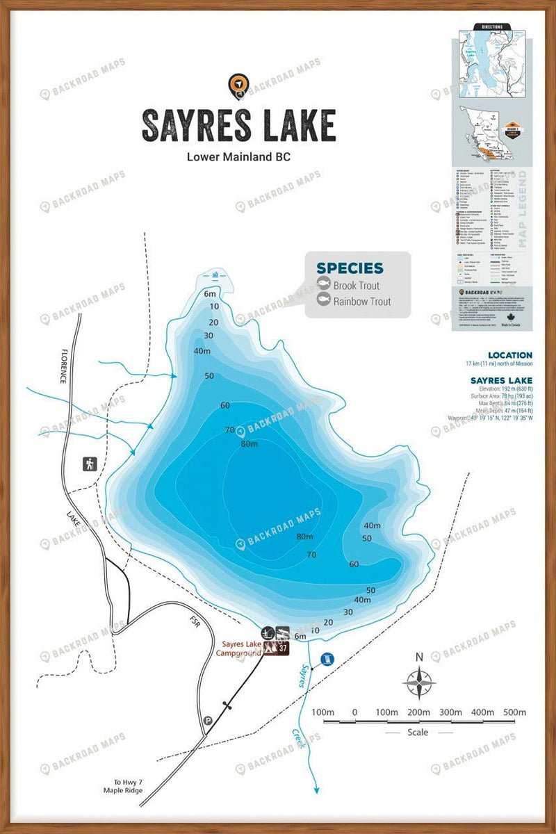 FLMBC96 Sayres Lake - Wall Map – Backroad Maps