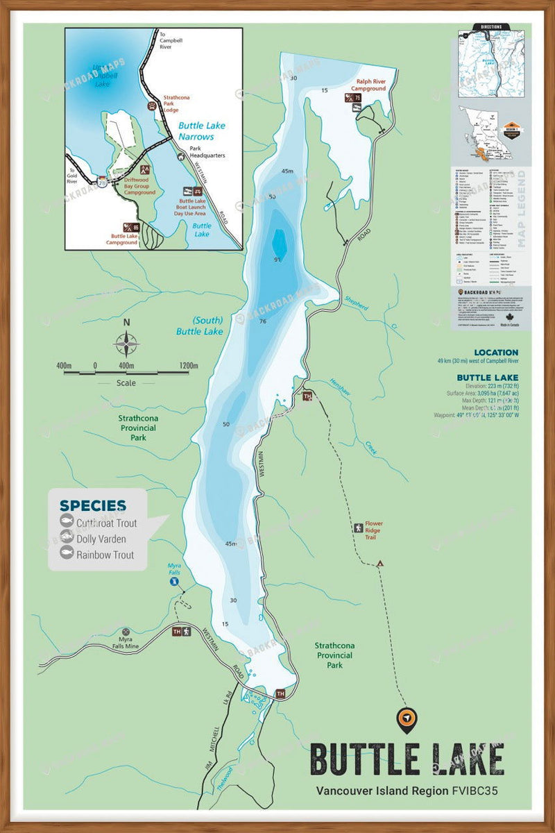FVIBC35 Buttle Lake - Wall Map – Backroad Maps