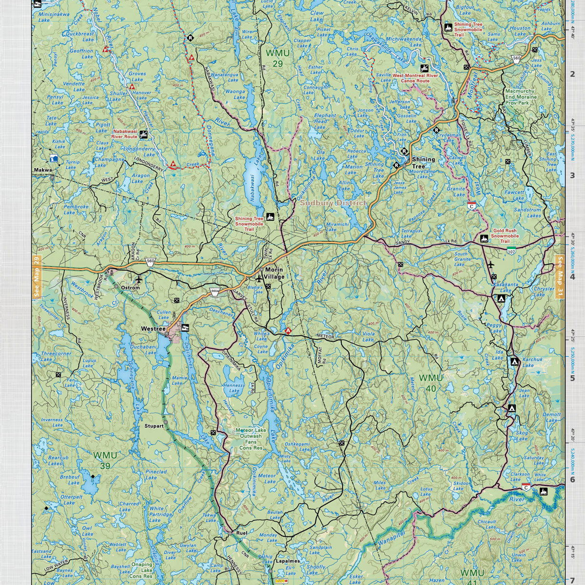 NEON30 TOPO Map - Shining Tree – Backroad Maps