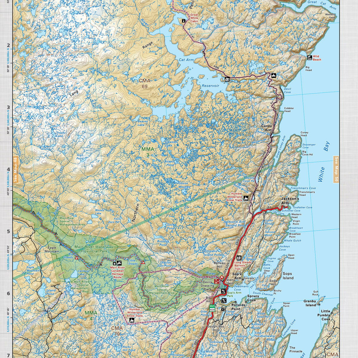 NFLD49 TOPO Map - Jackson's Arm – Backroad Maps