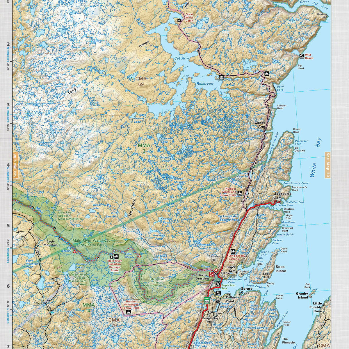 NFLD49 Wall Map - Jackson's Arm – Backroad Maps