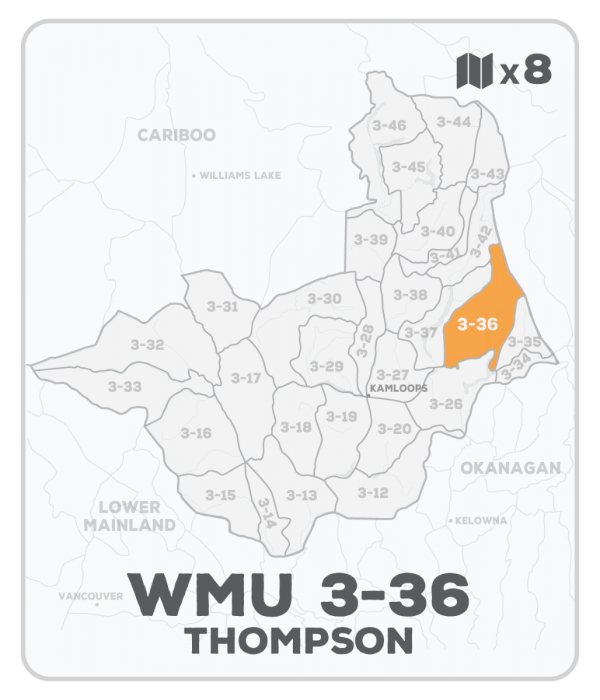WMU 3-36 Hunting Bundle - Thompson Region BC (8 maps) – Backroad Maps