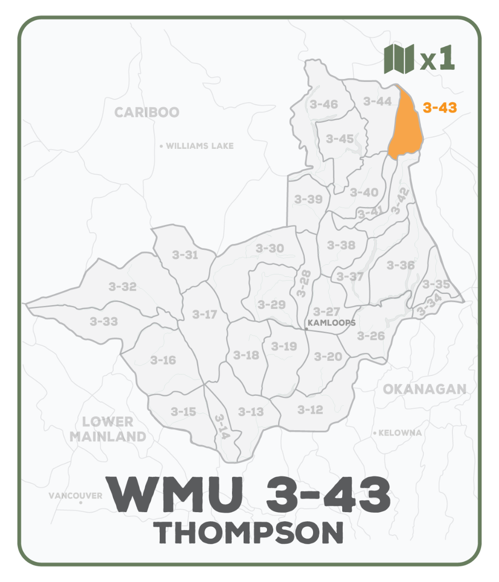 WMU 3-43 Thompson Region - Hunting Topo BC – Backroad Maps