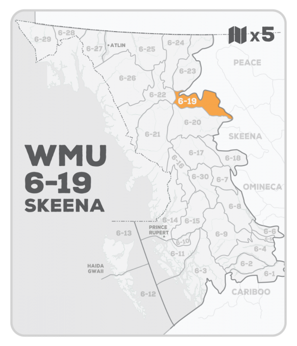 WMU 6-19 Hunting Bundle - Skeena Region BC (5 maps) – Backroad Maps