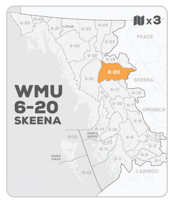 WMU 6-20 Hunting Bundle - Skeena Region BC (3 maps) – Backroad Maps