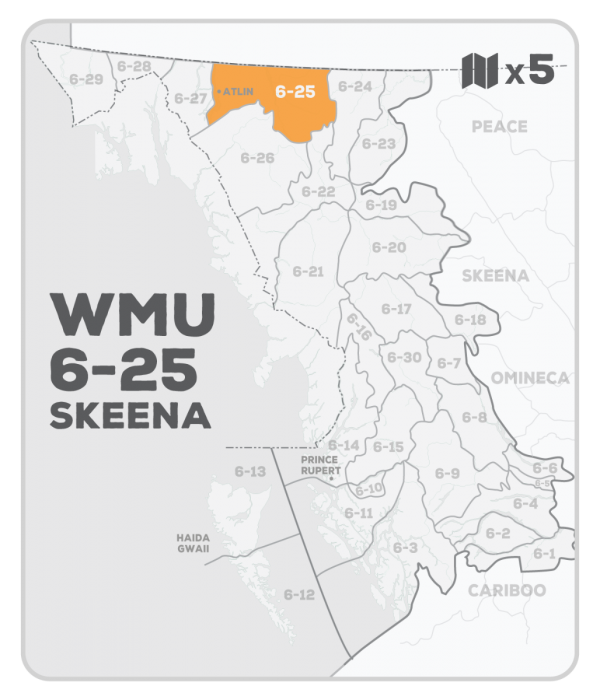 WMU 6-25 Hunting Bundle - Skeena Region BC (5 maps) – Backroad Maps