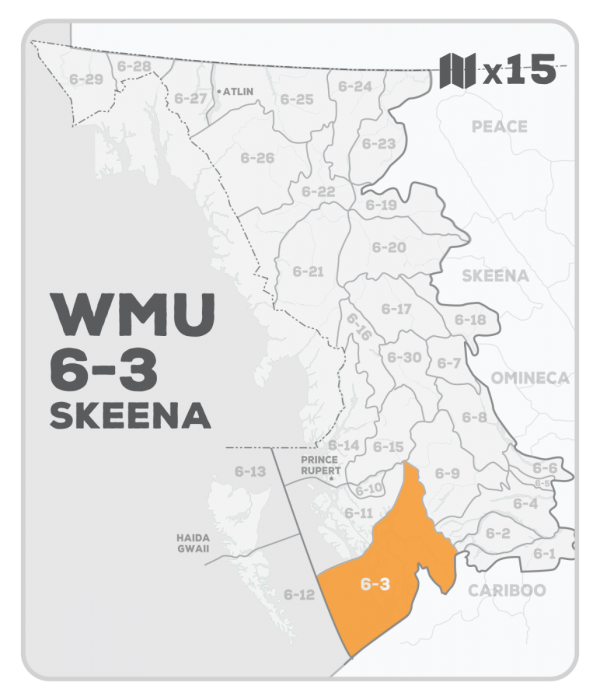 WMU 6-3 Hunting Bundle - Skeena Region BC (15 maps) – Backroad Maps