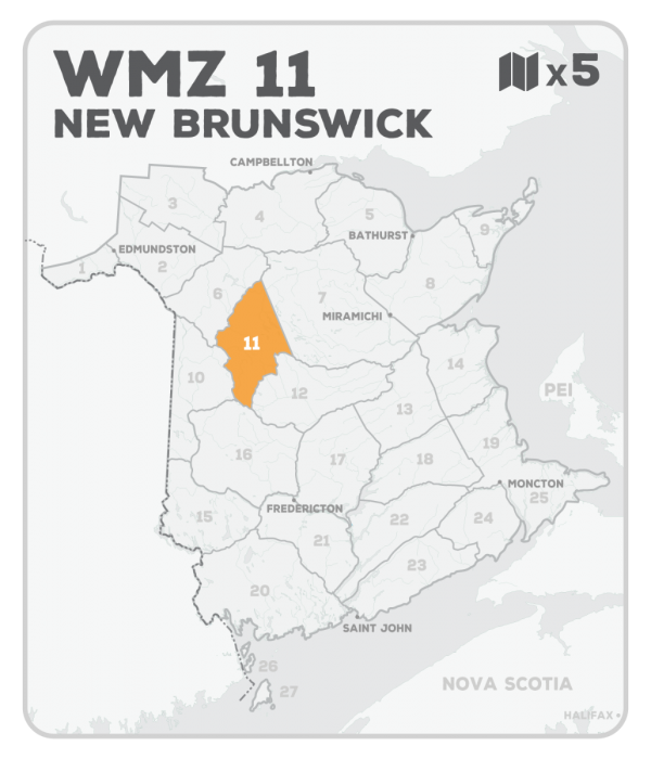 WMZ 11 Hunting Bundle - New Brunswick (5 maps) – Backroad Maps